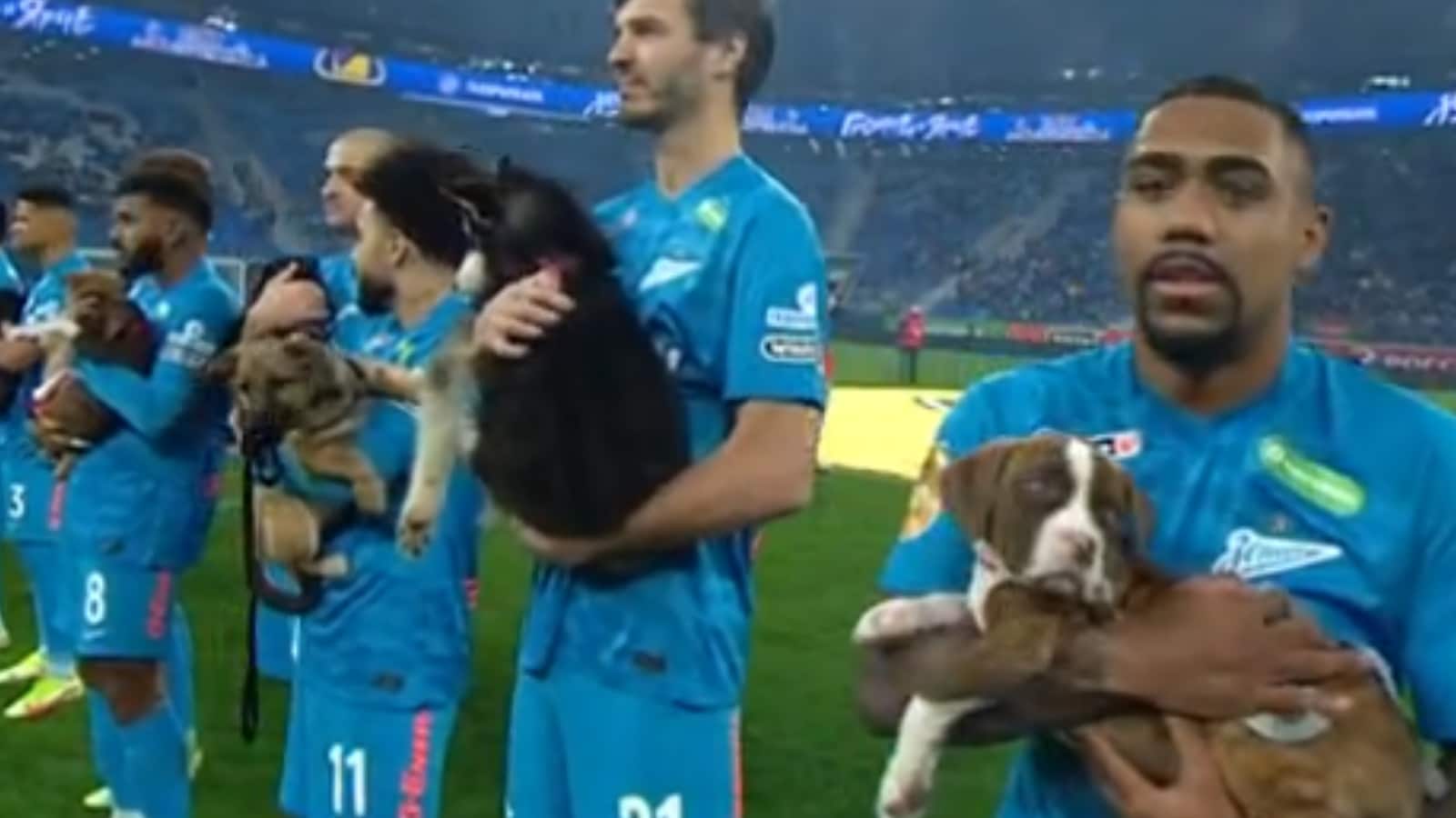 Watch: Footballers Walk Into Stadium Holding Homeless Puppies To ...