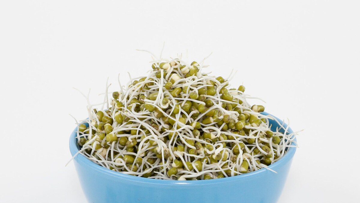 Sprout Dishes: Here’s How to Add Taste to Your Healthy Snacking - News18