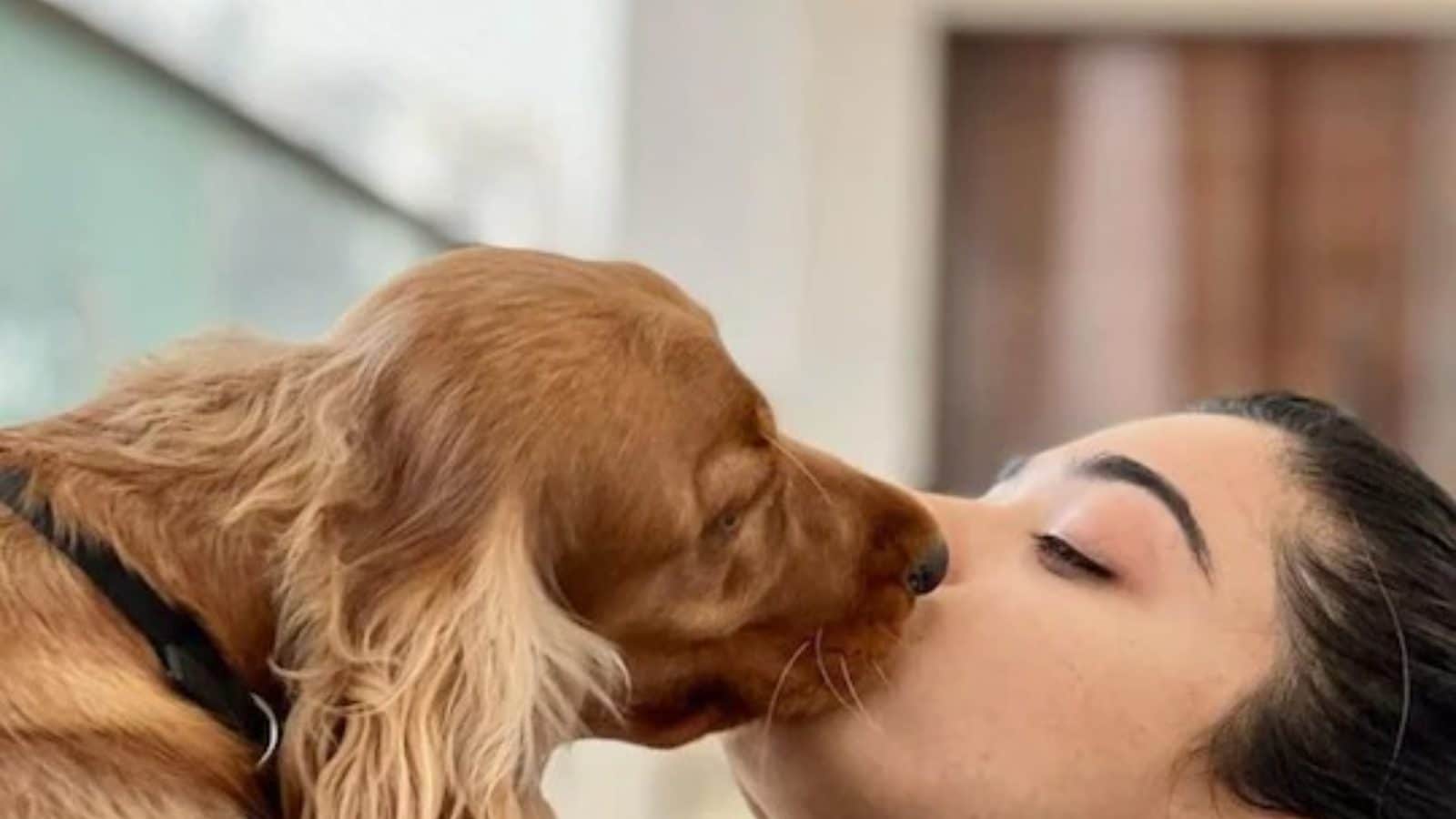 Rashmika Mandanna's Dog Can't Love Her Enough, Gives 'Welcome Home ...