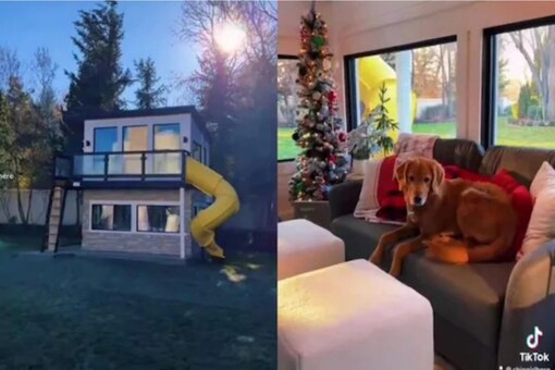 Video: Couple Gets 2-Story House For Their Golden Retriever; Personal ...
