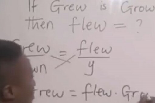 This Teacher Found the Past Participle of 'Flew' Using Algebra, Here's ...