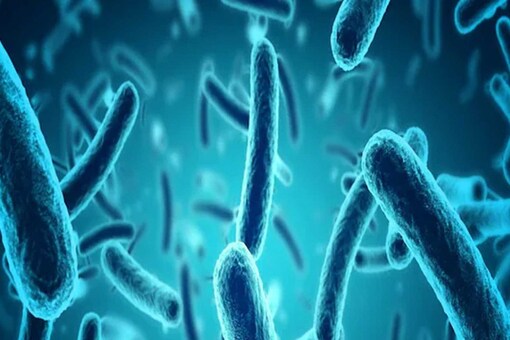 New Study Claims Good Viruses Can be Turned Into Weapons to Fight Bacteria