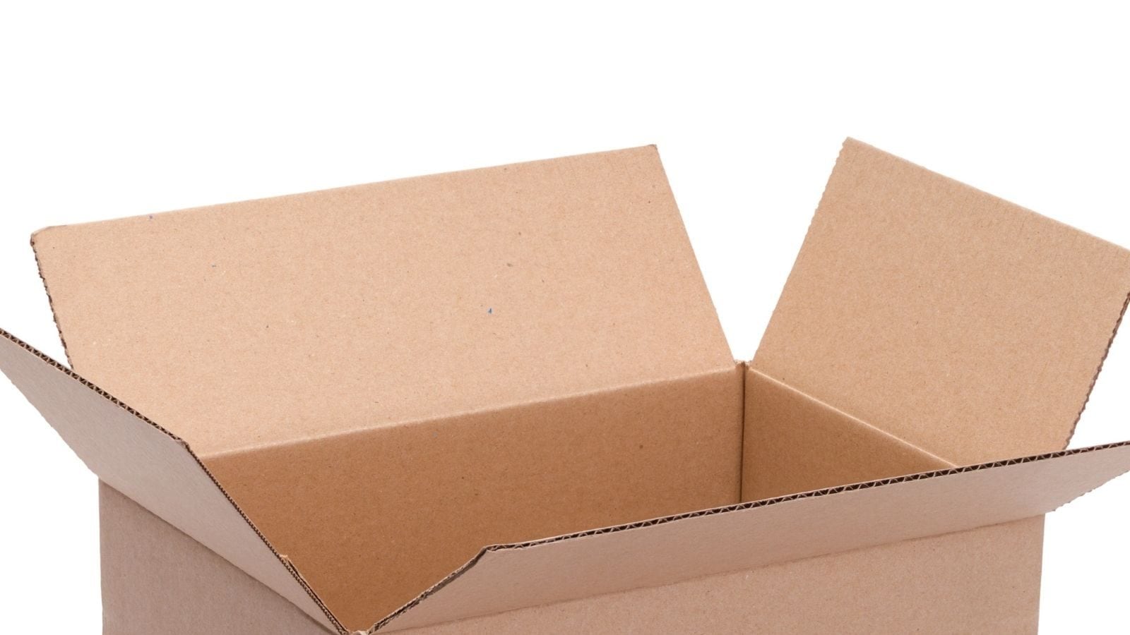 UK Woman Fined Rs 40,000 for Discarding Empty Cardboard Box Outside her ...