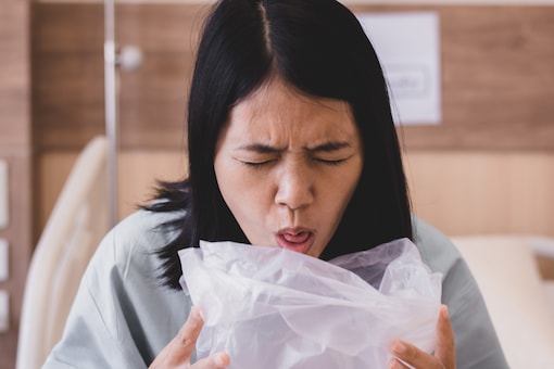 Florida Bride Faints, Vomits and Then Gets Pooped on in Series of ...