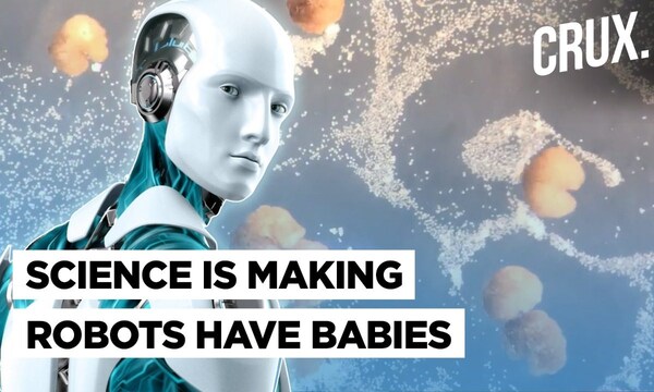 Meet Xenobots 3.0 – World’s First Living Robots, Made of Frog Cells, That Can Reproduce - News18