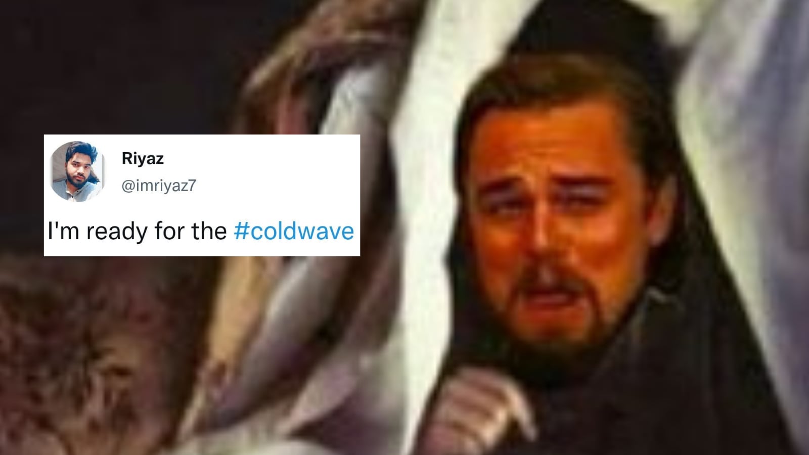 Netizens Warm Up With Cold Wave Memes as Temperature Drops in North ...