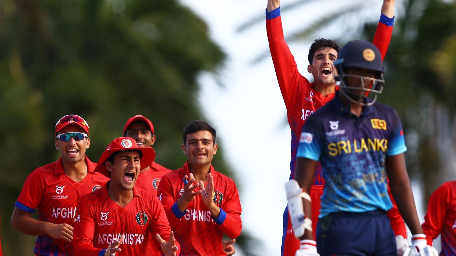 ICC U19 World Cup 2022: After Stunning Sri Lanka, Afghanistan Seek ...