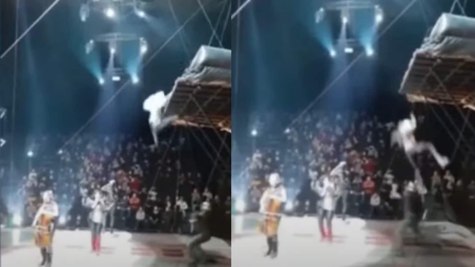German Circus Performer Falls 20 Feet to the Ground as Stunt Goes ...