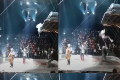 German Circus Performer Falls 20 Feet to the Ground as Stunt Goes ...