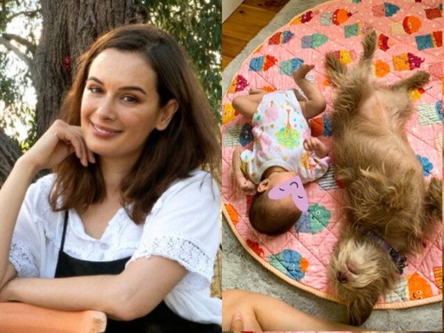 Evelyn Sharma Shares Adorable Pic of Newborn Daughter Sleeping Next to ...