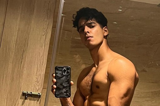 Ishaan Khatter's Shirtless Mirror Selfie Has Rumoured GF Ananya Panday Drooling; See Here - News18