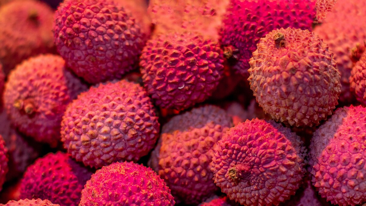 Lychee Genome Study Reveals Colourful Origin Story of the Tropical ...