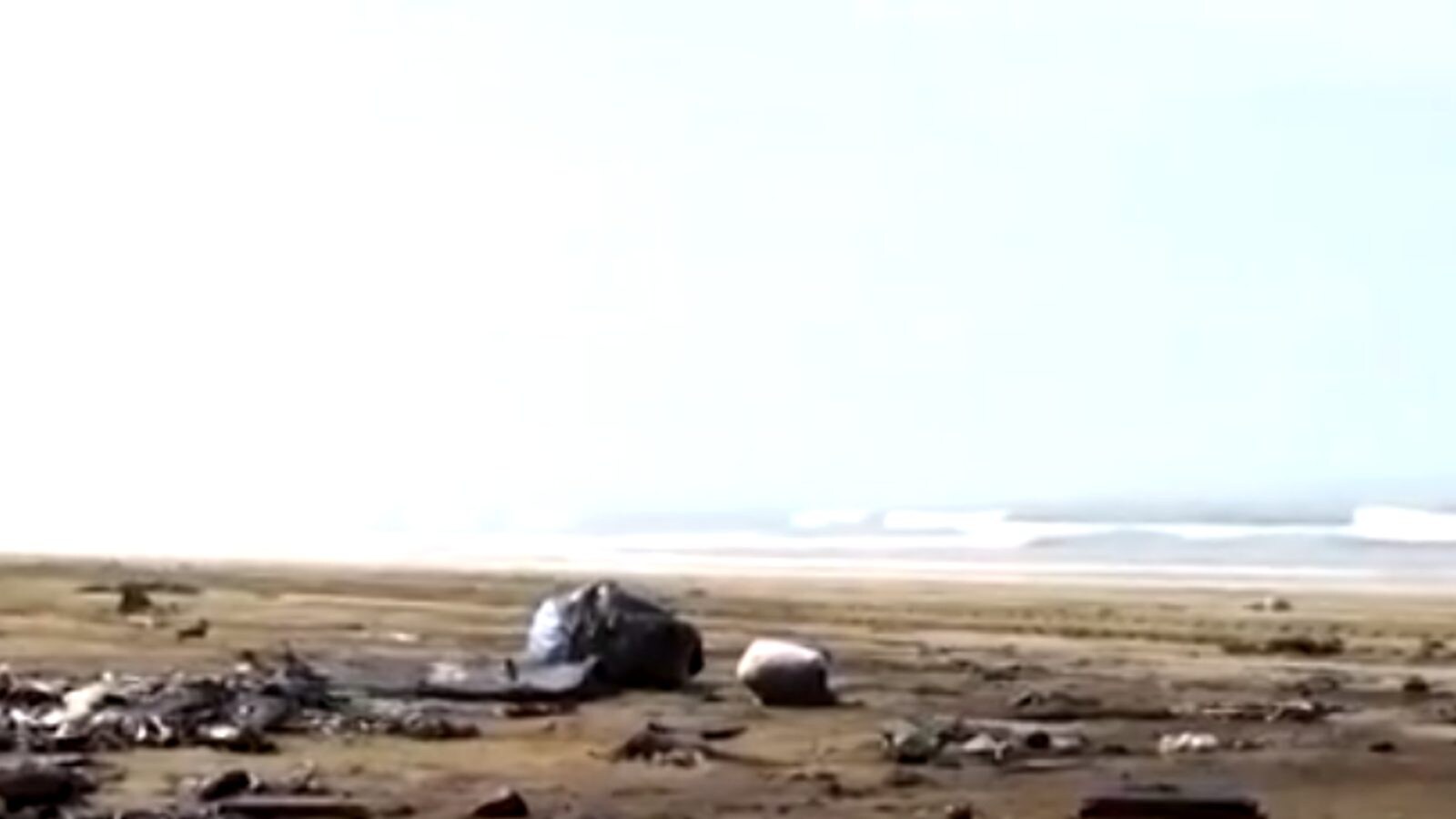 Oil Spill Caused Due To Tonga Volcano Eruption Dirties 2kms Of Peru's ...
