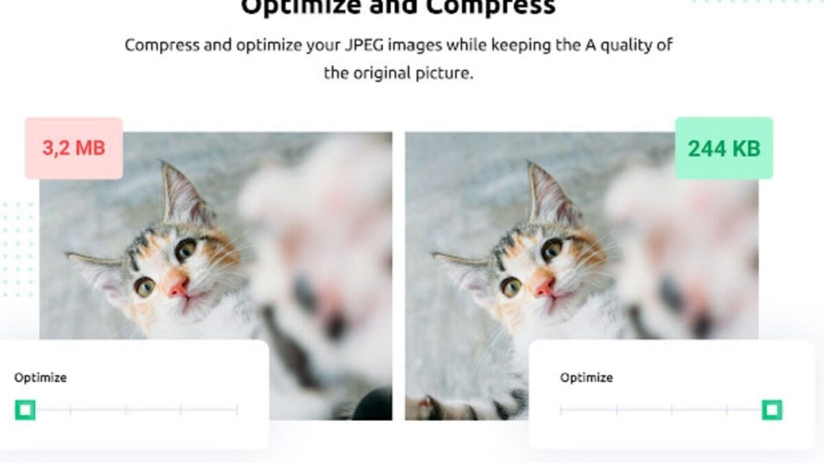 How to Adjust the Size of Images on Google Chrome in a Few Clicks - News18