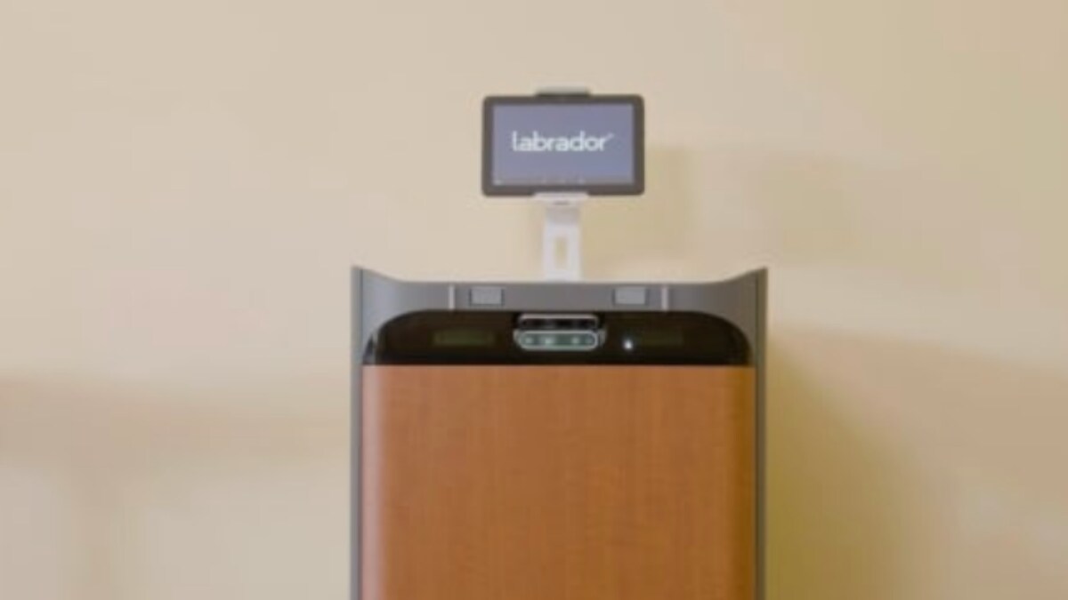 This Labrador Robot Can Provide Home Assistance to People with Reduced ...