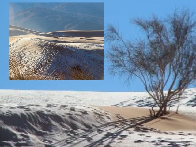 Sahara Desert Gets Snowfall in Rare Phenomenon, Stunning Photos Go ...