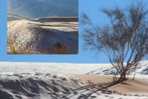 Sahara Desert Gets Snowfall in Rare Phenomenon, Stunning Photos Go ...