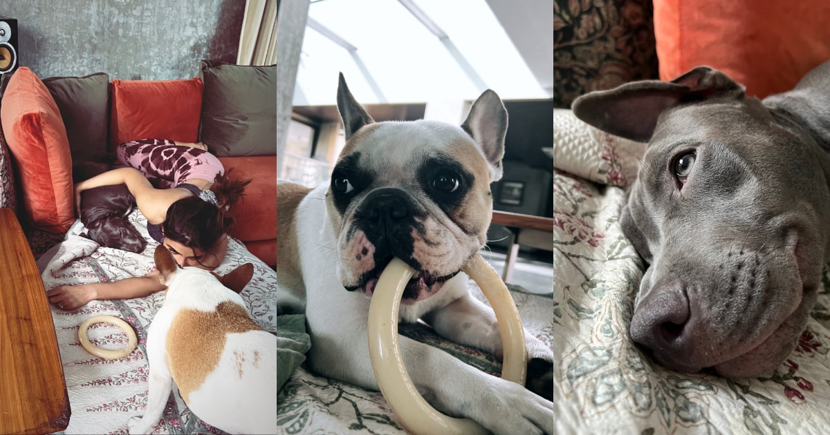 Samantha Ruth Prabhu Kicks Off the Weekend with Cuddles from Her Dogs ...