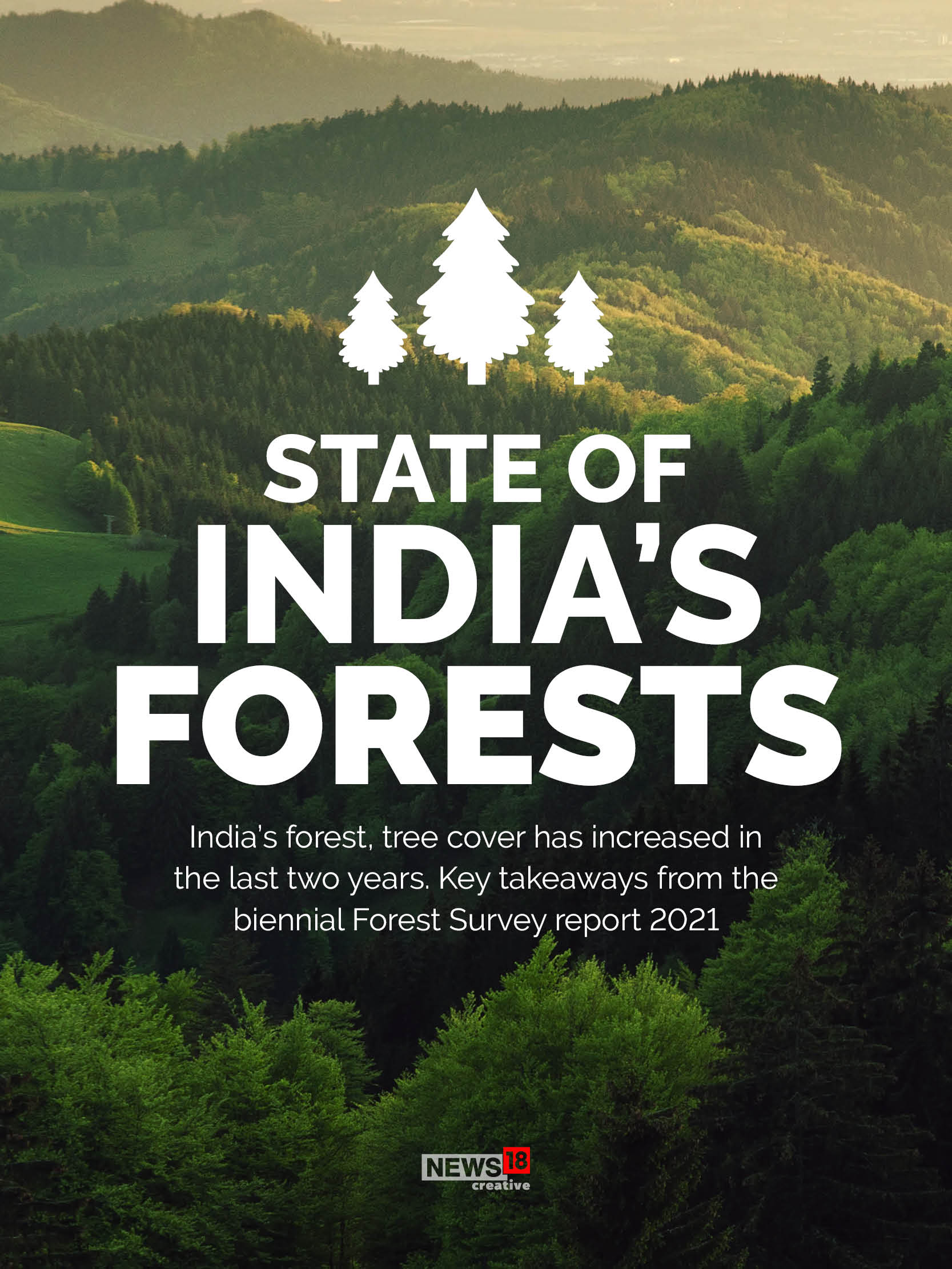 Forest Survey Report 2021: Greenest States, Key Takeaways in GFX - News18