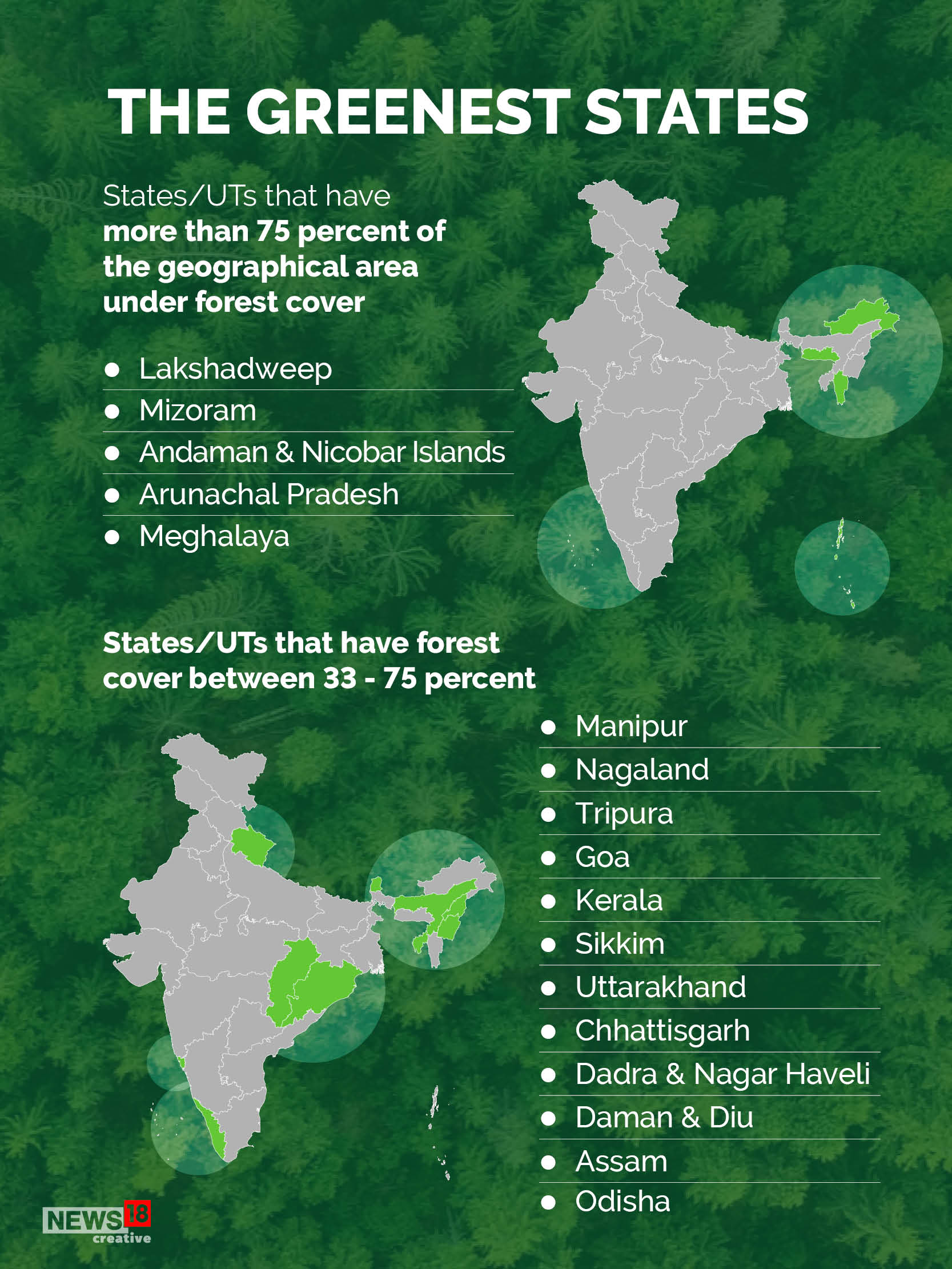 Forest Survey Report 2021: Greenest States, Key Takeaways in GFX - News18