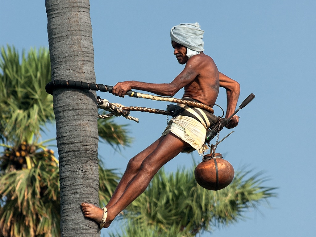 Tamil Nadu Toddy Movement Holds Protest Urging State to Revoke Ban on ...