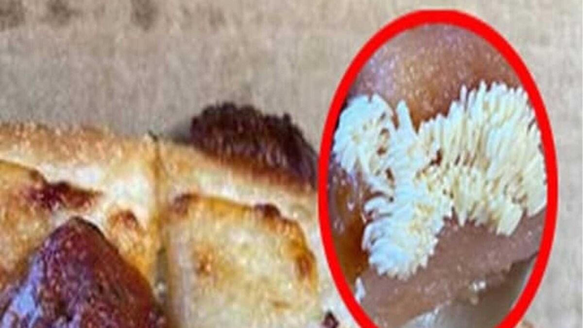 New Zealand Man Finds Insects in Domino's Pizza, Picture Goes Viral ...