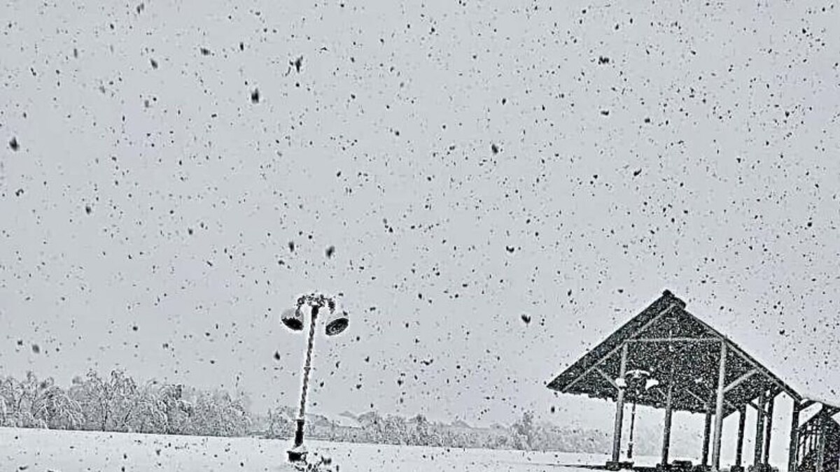 Srinagar is a Snow-clad Paradise in Winter and Twitter Cannot Get ...