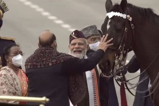 On Camera, Modi, Kovind Bid Farewell to Virat, Elite Horse of President ...
