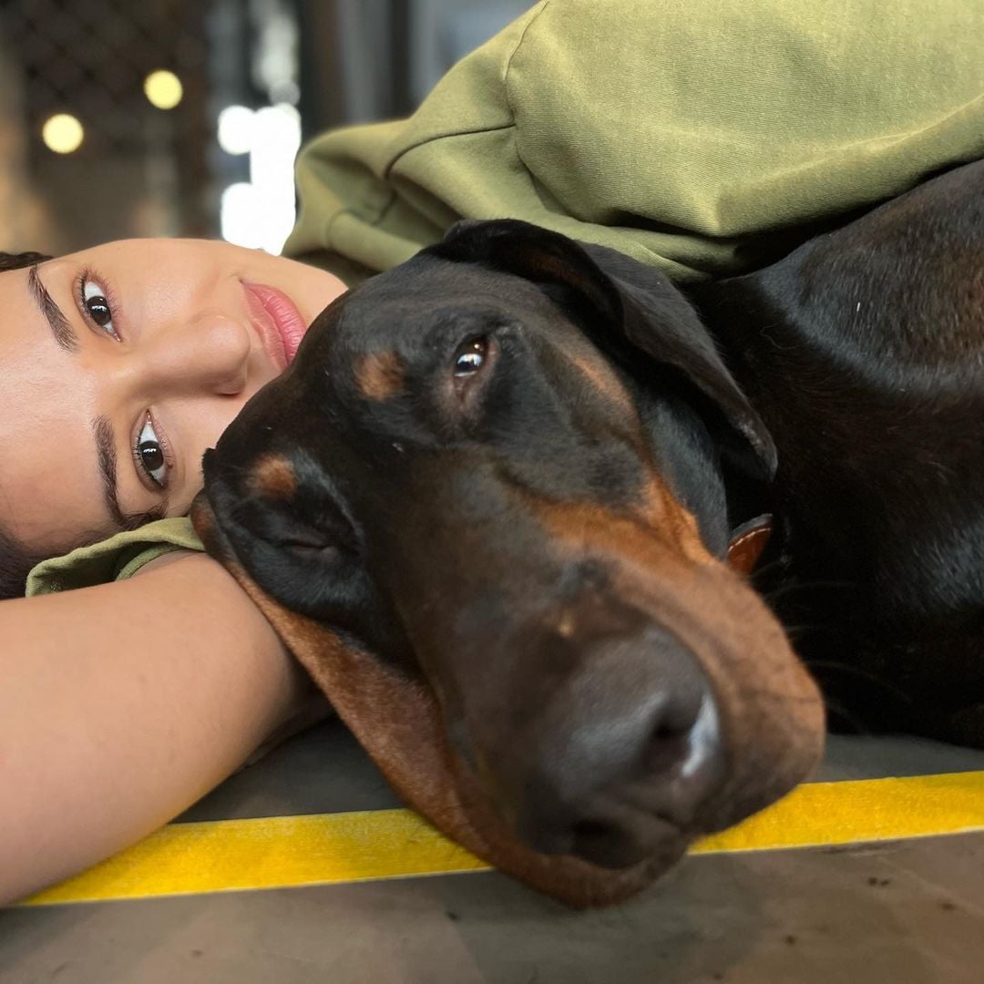 Disha Patani Shares Adorable Photos With Her Pet Dogs, See The Diva's ...