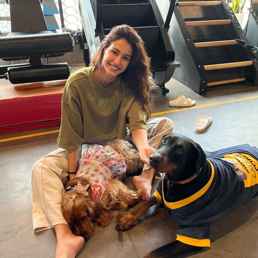 Disha Patani Shares Adorable Photos With Her Pet Dogs, See The Diva's ...