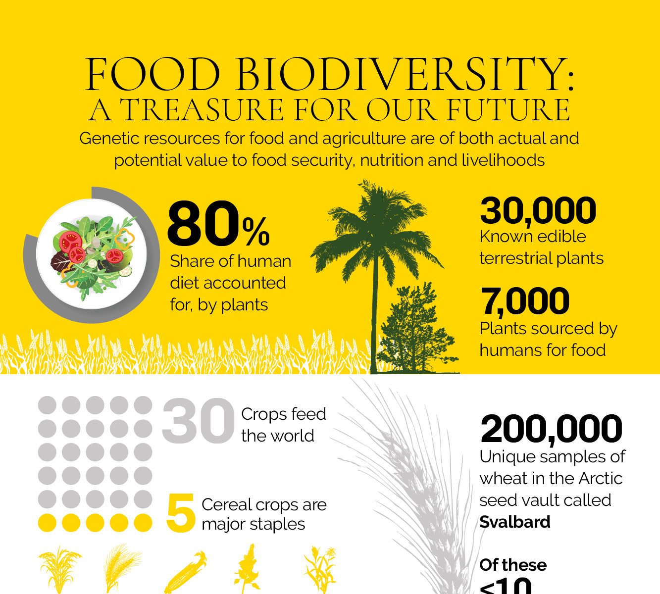 What is Food Diversity and Here's Why Should You Care; All You Need to ...