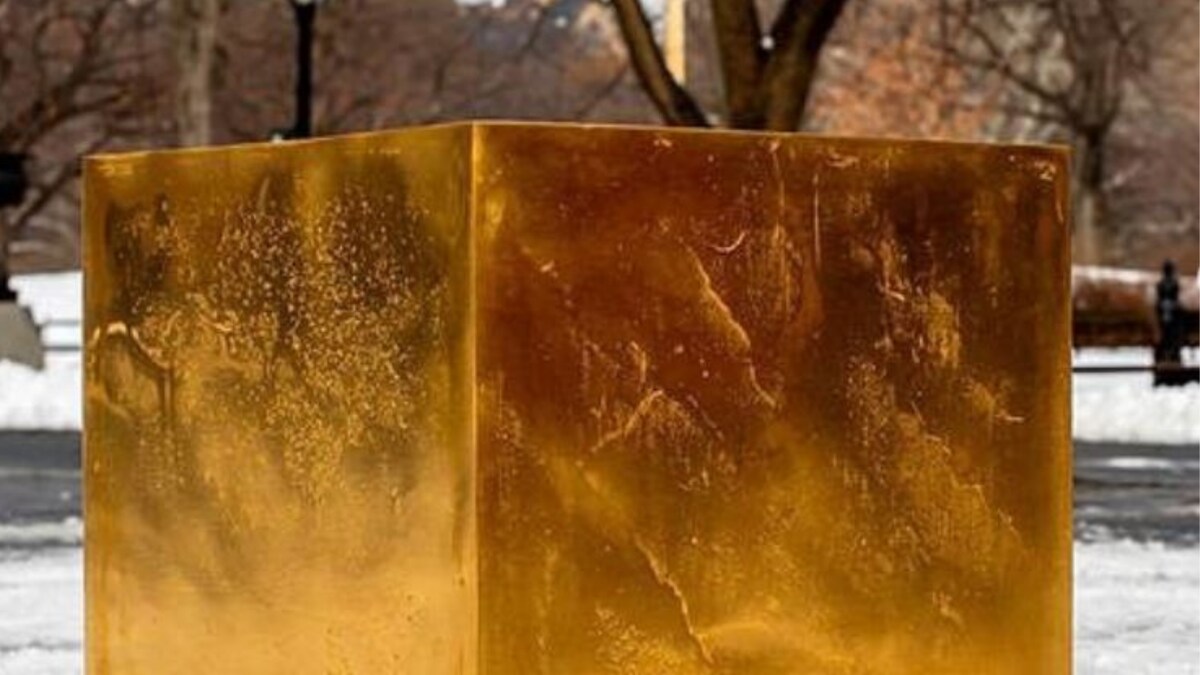 Huge Gold Cube Worth Rs 87 Crore Just Appeared in NYC's Central Park ...