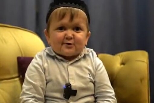 A Woman Ran into Hasbulla Magomedov in Dubai Hotel and This is What She ...