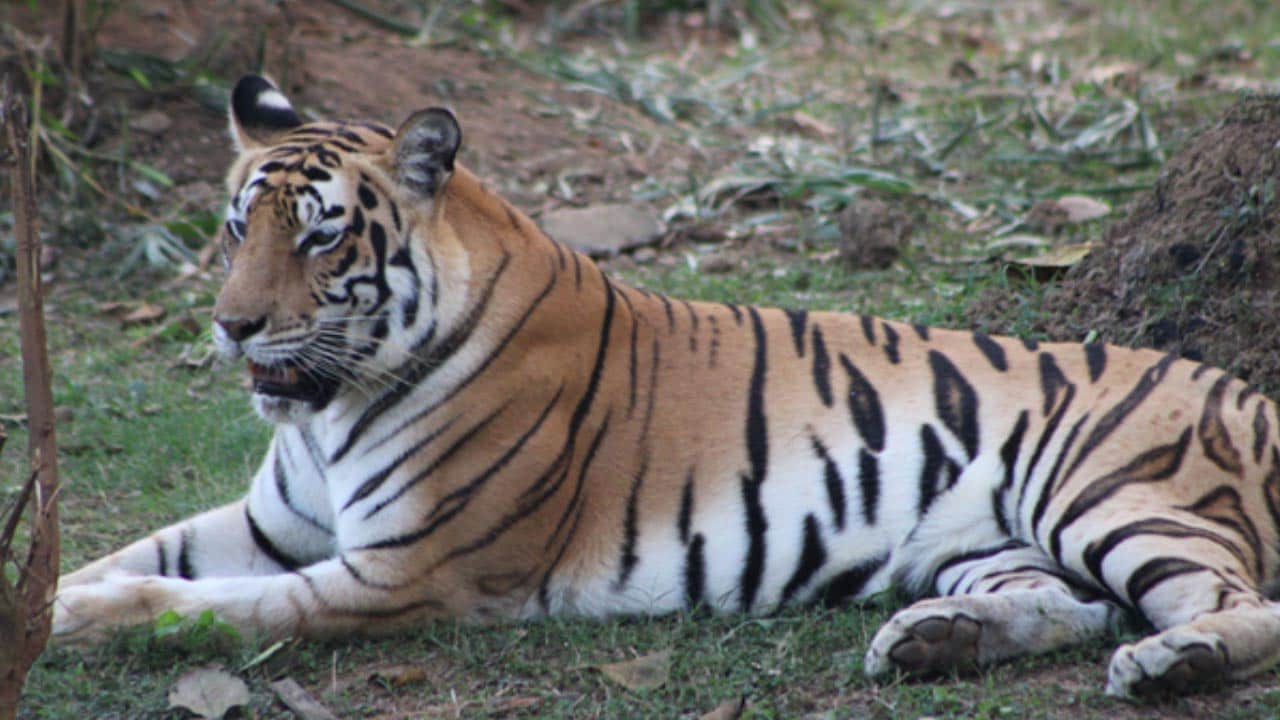 Take These Incredible Road Trips In Odisha And Ignite Your Wanderlust ...