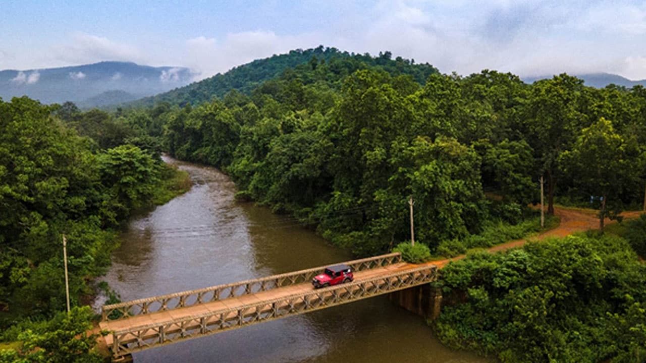 Discover The Best Of Wildlife At These Amazing Spots All Over Odisha