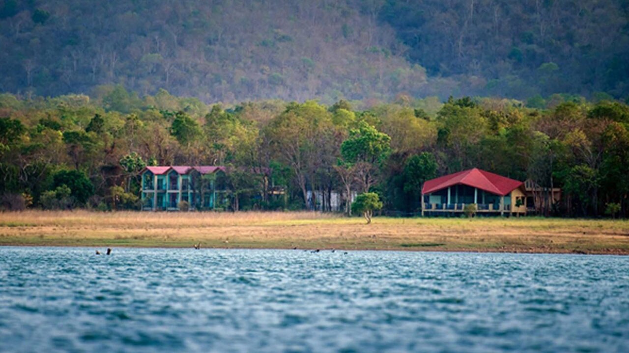 Discover The Best Of Wildlife At These Amazing Spots All Over Odisha