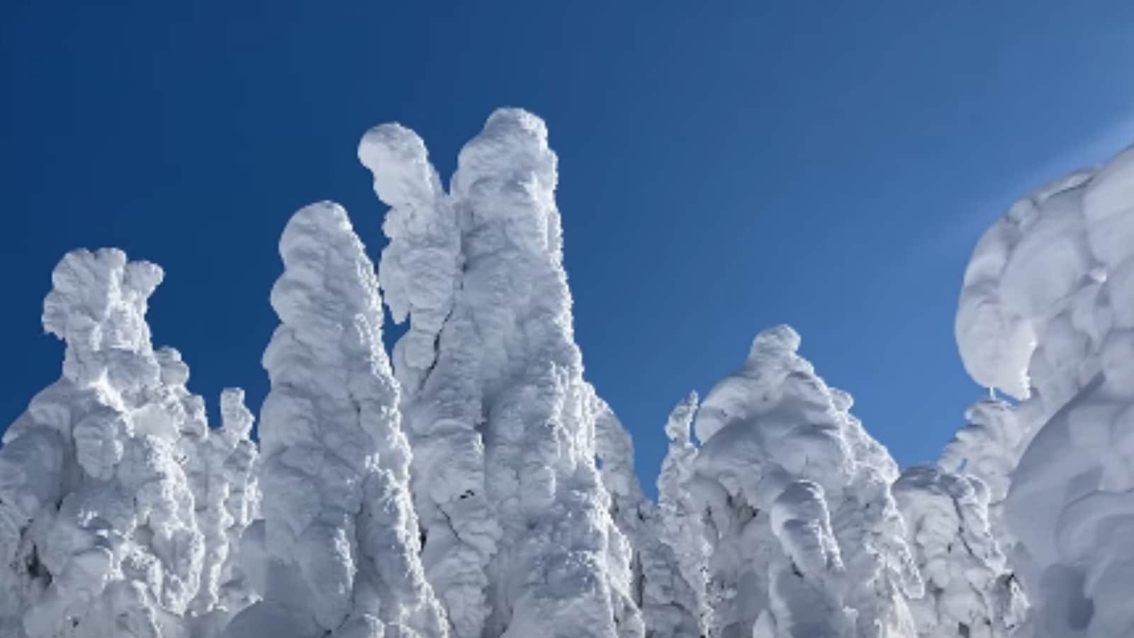 Japan's Snow Monsters 'Juhyos': All You Need to Know About the Majestic ...