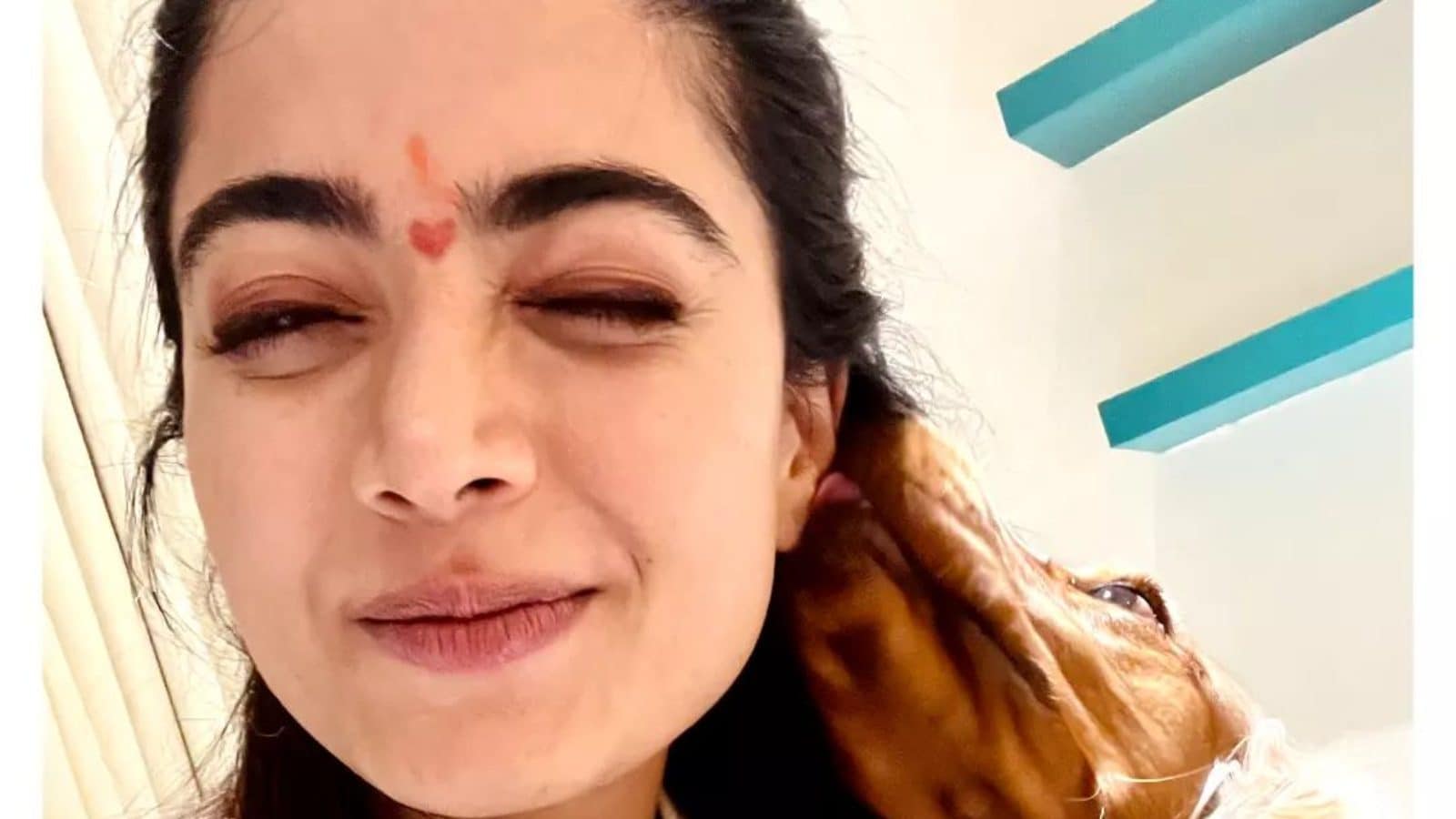 Rashmika Mandanna Has Fans Gushing With Her New Pic Featuring Dog Aura ...