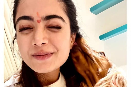 Rashmika Mandanna Has Fans Gushing With Her New Pic Featuring Dog Aura ...