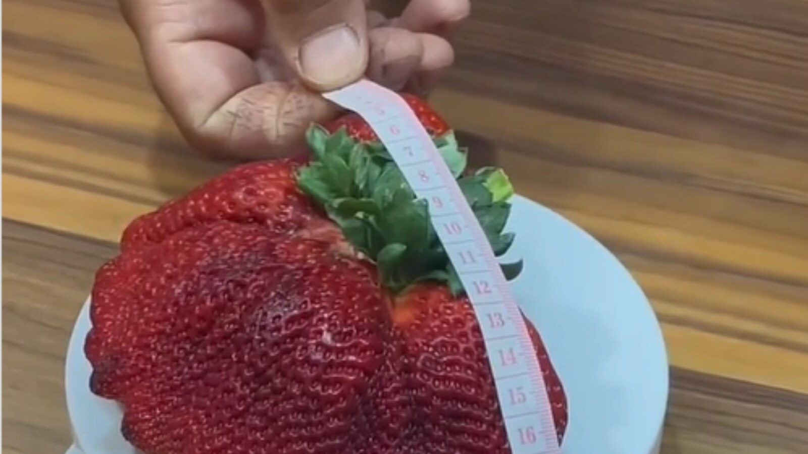World's Heaviest Strawberry Weighing 289 Grams Sets Guinness World ...