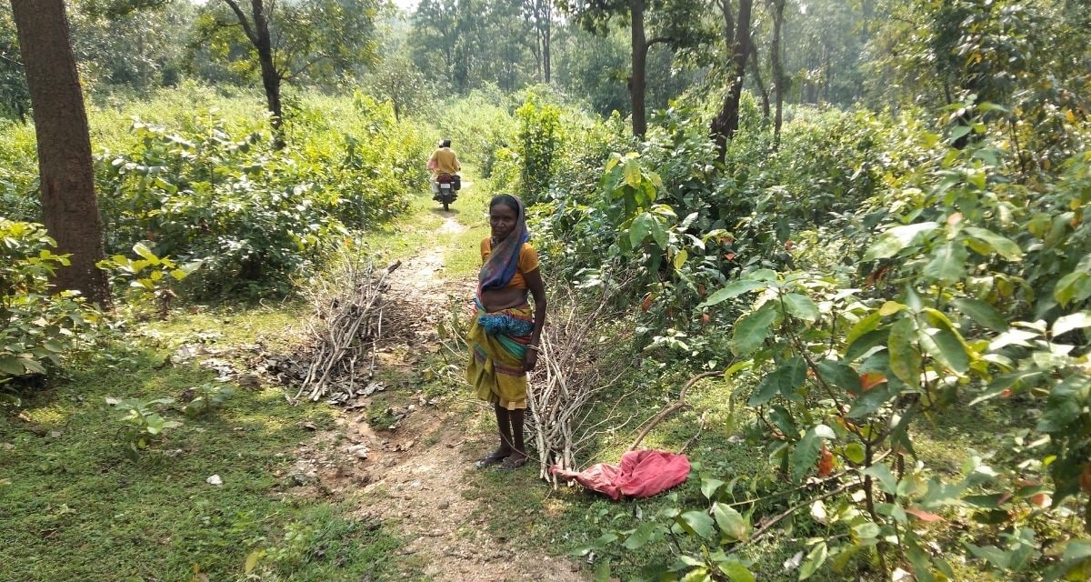 Indigenous Communities of Jharkhand Have Long Defended Their Native ...