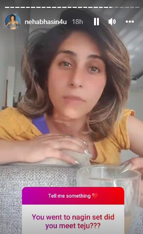 Neha Bhasin Reveals She Met Rashami on Naagin 6 Sets, Avoids Talking ...