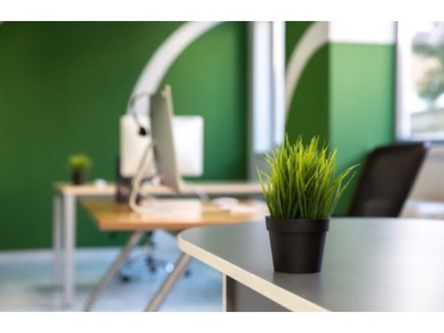 Step Up Your Productivity By Turning Your Office Into a Green Office ...