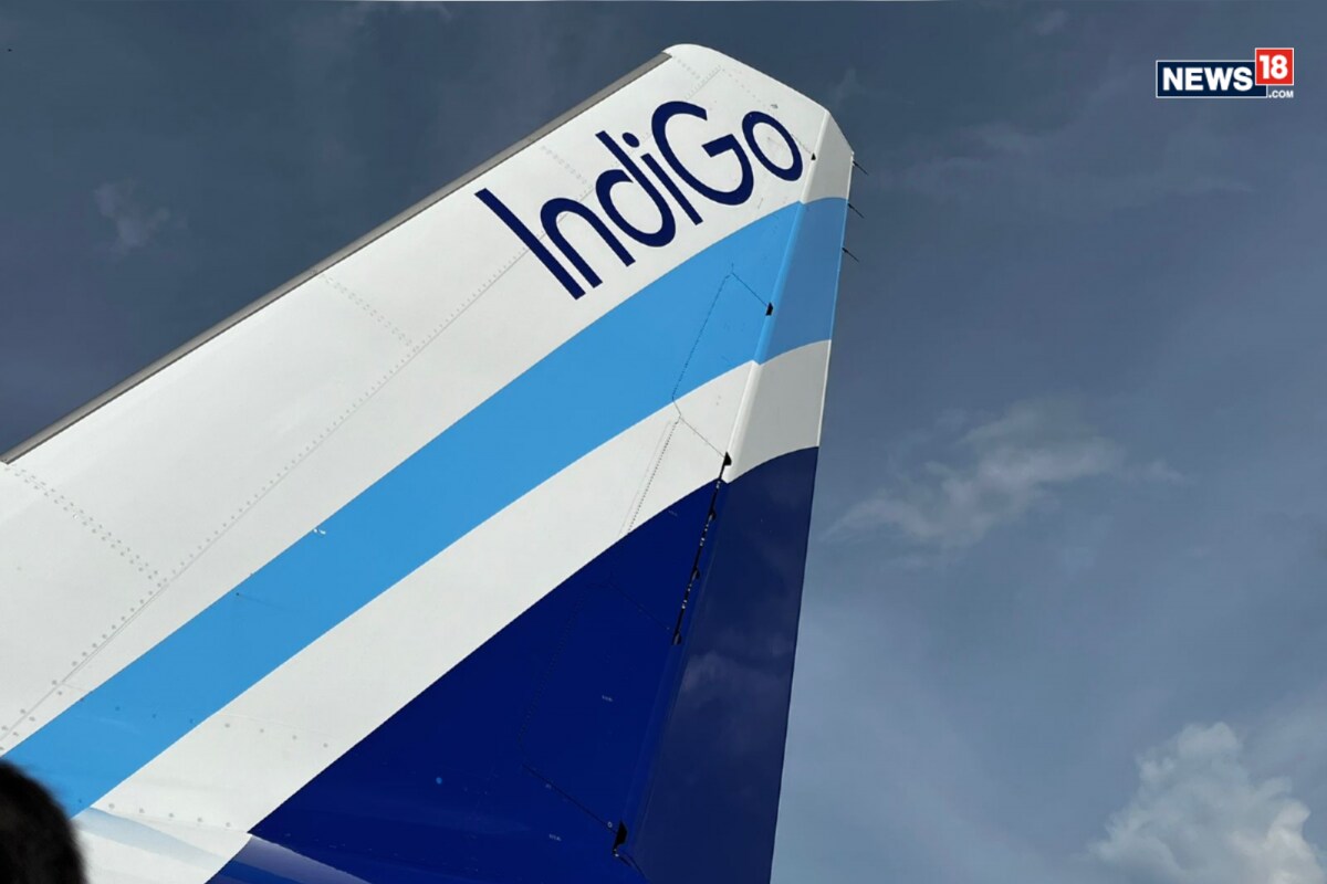 Web Check In Indigo Timeline - Infoupdate.org