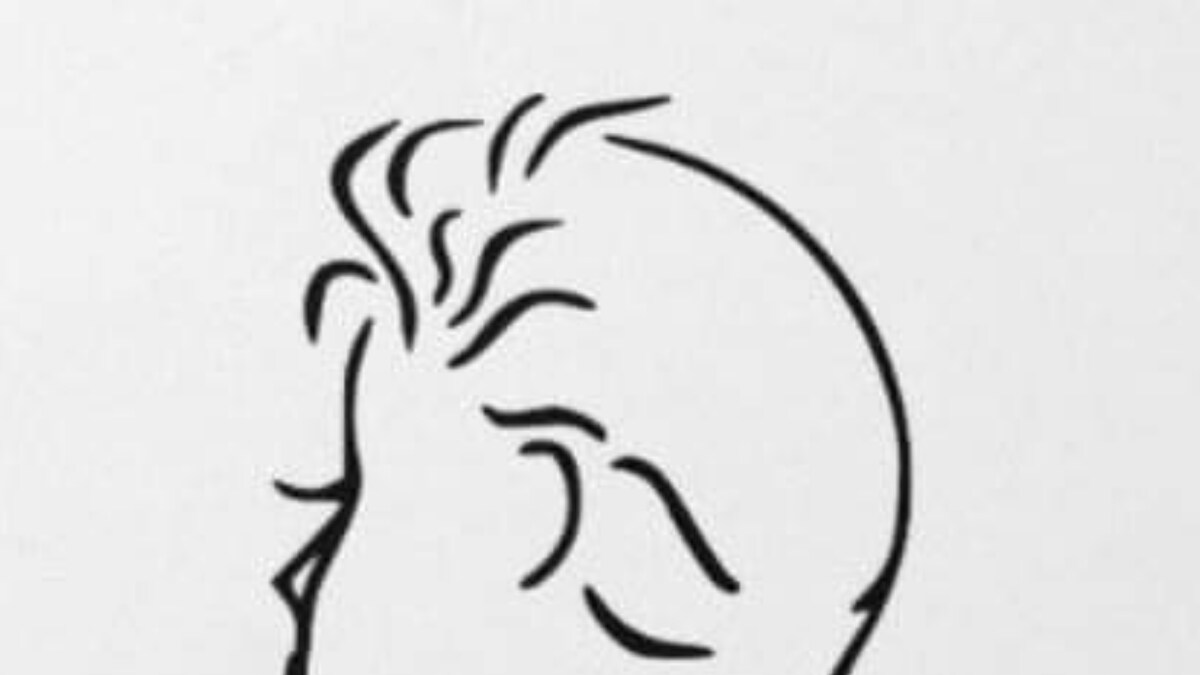 Moustache or Girl's Head? This Optical Illusion Tells a Lot about Your ...