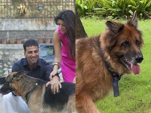 Akshay Kumar-Twinkle Khanna Mourn Demise of Pet Dog Cleo: You Took a ...
