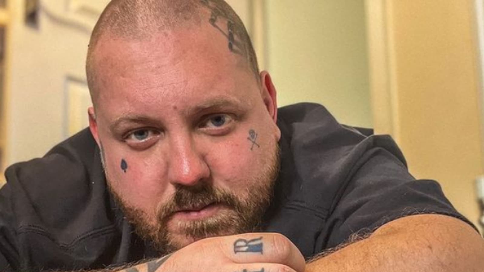 Man Gets Over 100 Spiders to Cope With Depression in England, Know Why ...