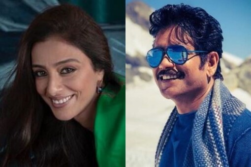 When Tabu Reacted to Her Dating Rumours With Nagarjuna: Don't Have a ...