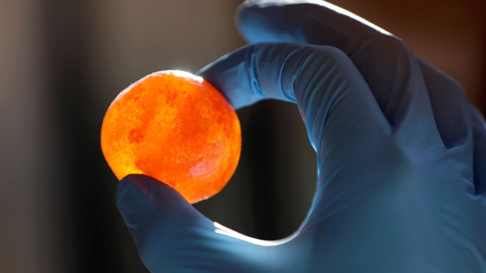 The 'Candy Crimes': Urban Legends & Shocking Crimes Have Long Dotted ...