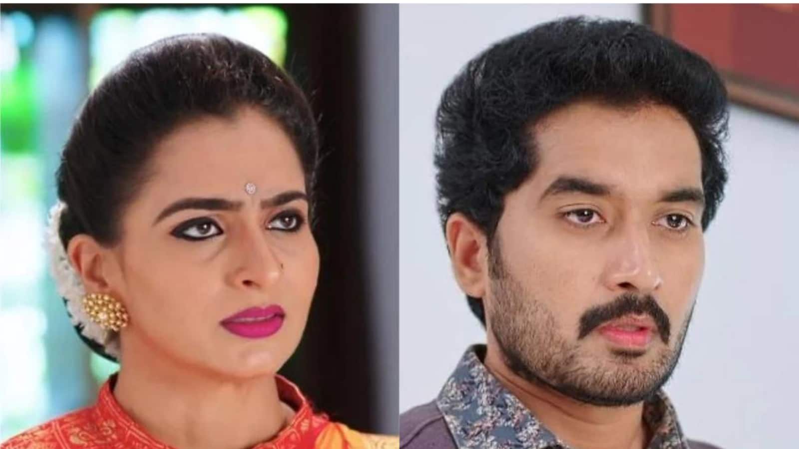 Age Gap Between Actors Playing Mother-Son Duo in Karthika Deepam Will ...